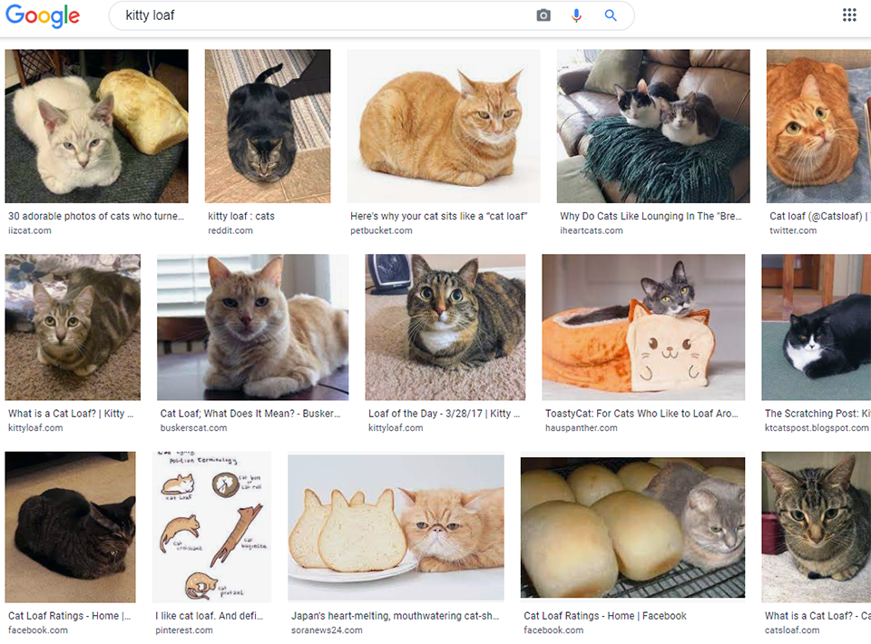 How To Make Funny Clay Cats: Cat Loaf / Kitty Loaf – IROHASHOP JAPAN